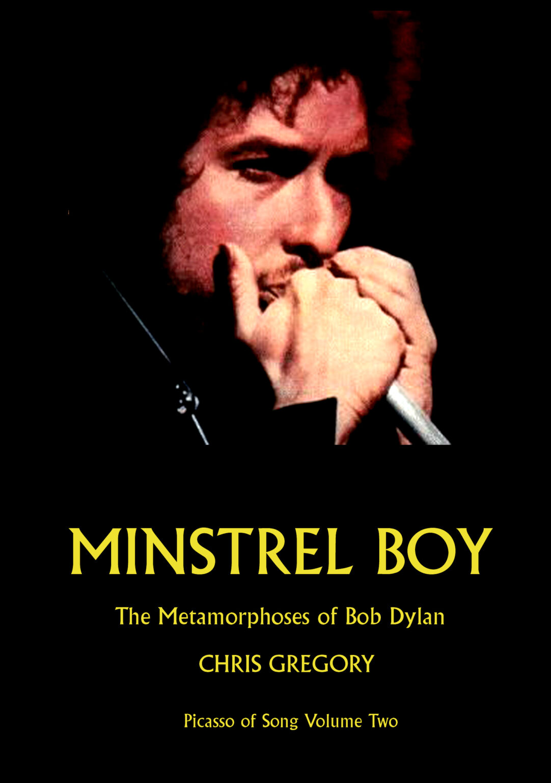 Minstrel Boy, Bob Dylan Trilogy Vol 2 - Chris Gregory